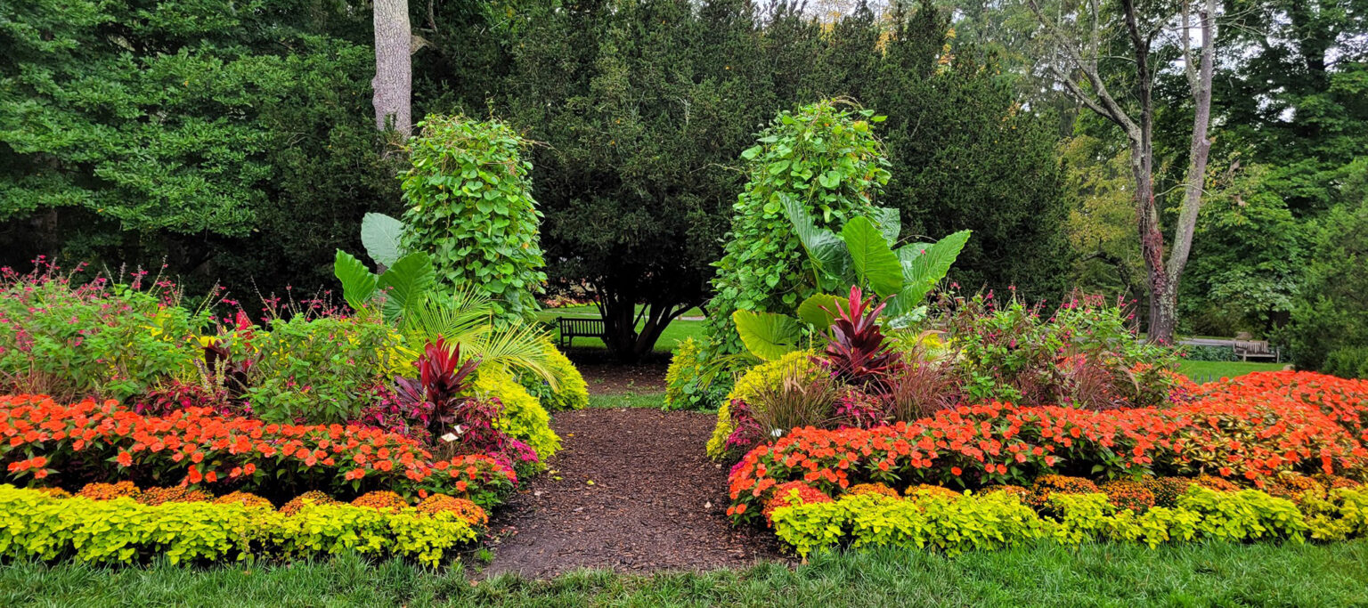 Experience Autumn in Westerville